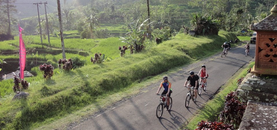 Ubud Electric Bicycles Tour - Merteyasa Bali