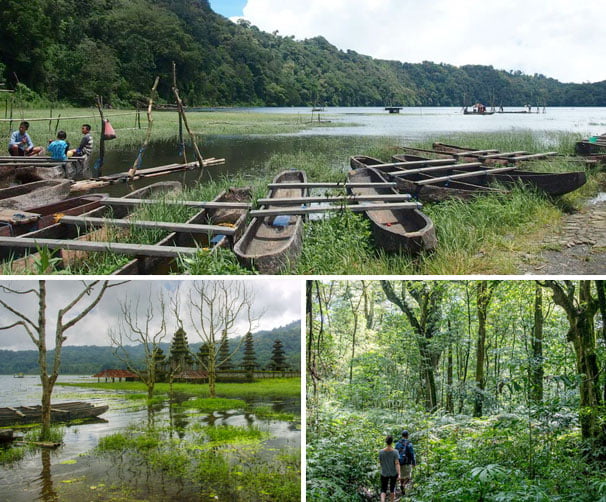 Banyumala Waterfall & Tamblingan Forest Trekking - Merteyasa Bali